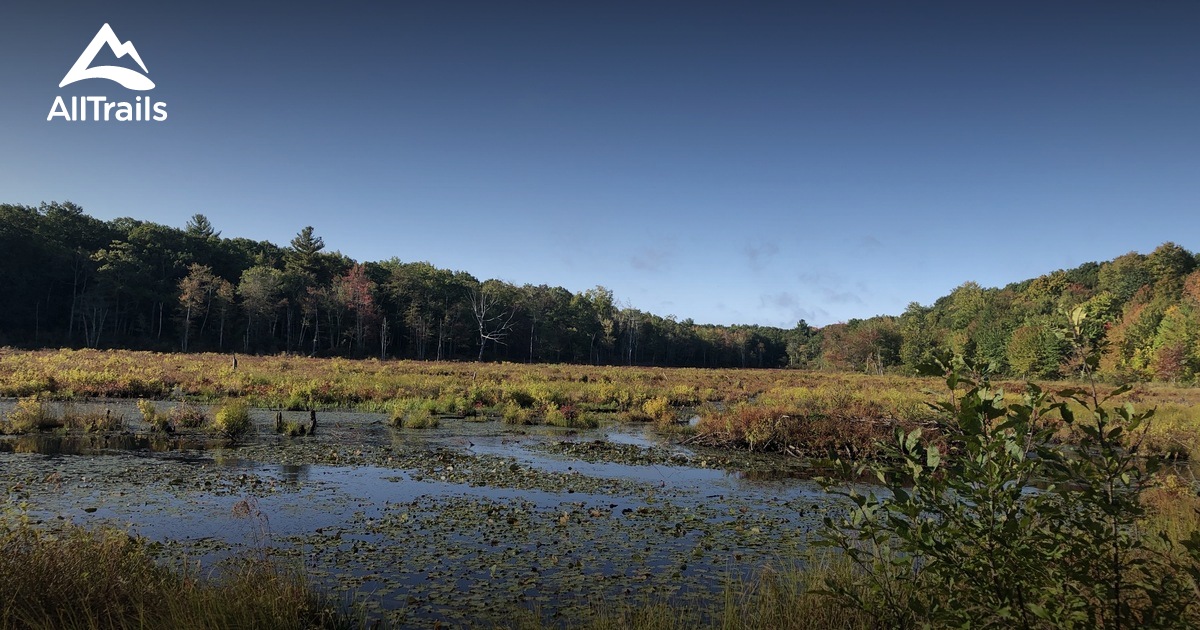 Best hikes and trails in Phillips Farm | AllTrails