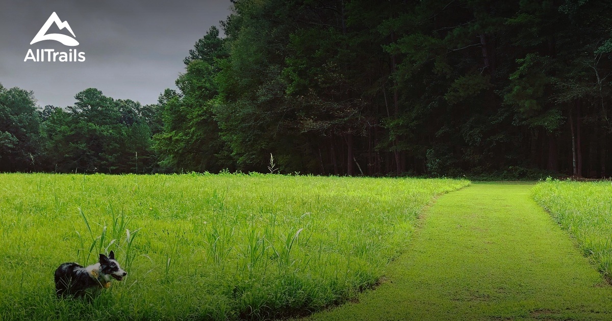 Best hikes and trails in Jesse Helms Park | AllTrails