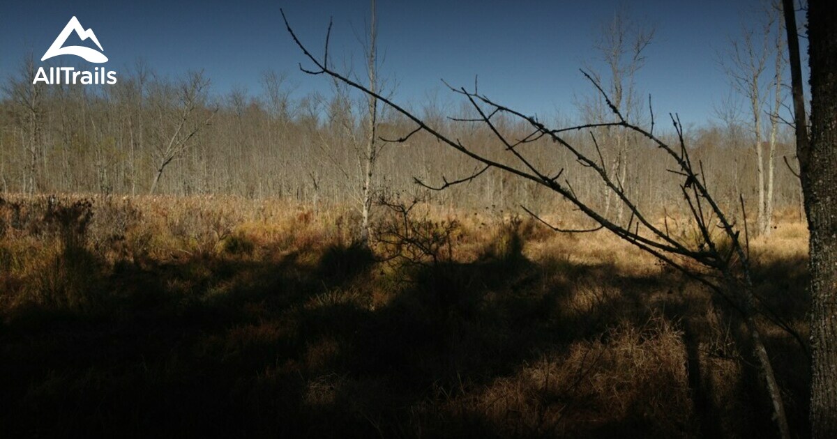 Best hikes and trails in West Branch Nature Preserve | AllTrails
