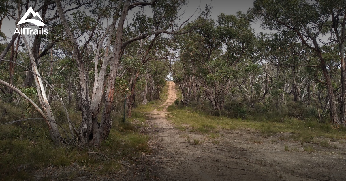 Best hikes and trails in Watts Gully Forest Reserve | AllTrails