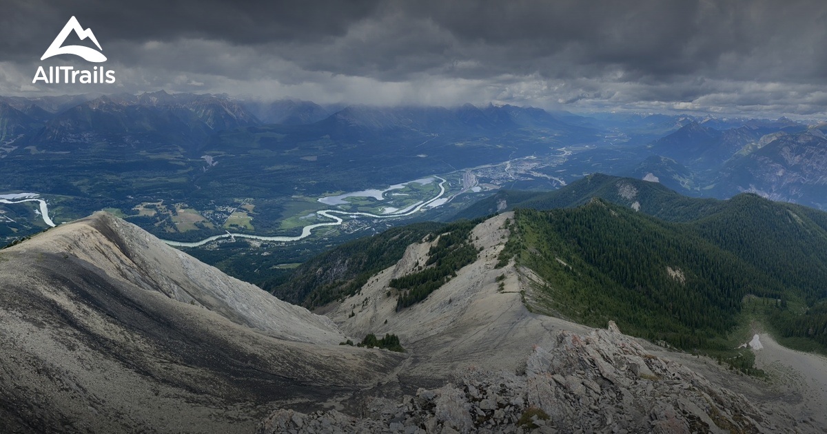 Best hikes and trails in Mount 7 North Ridge Recreation Site | AllTrails