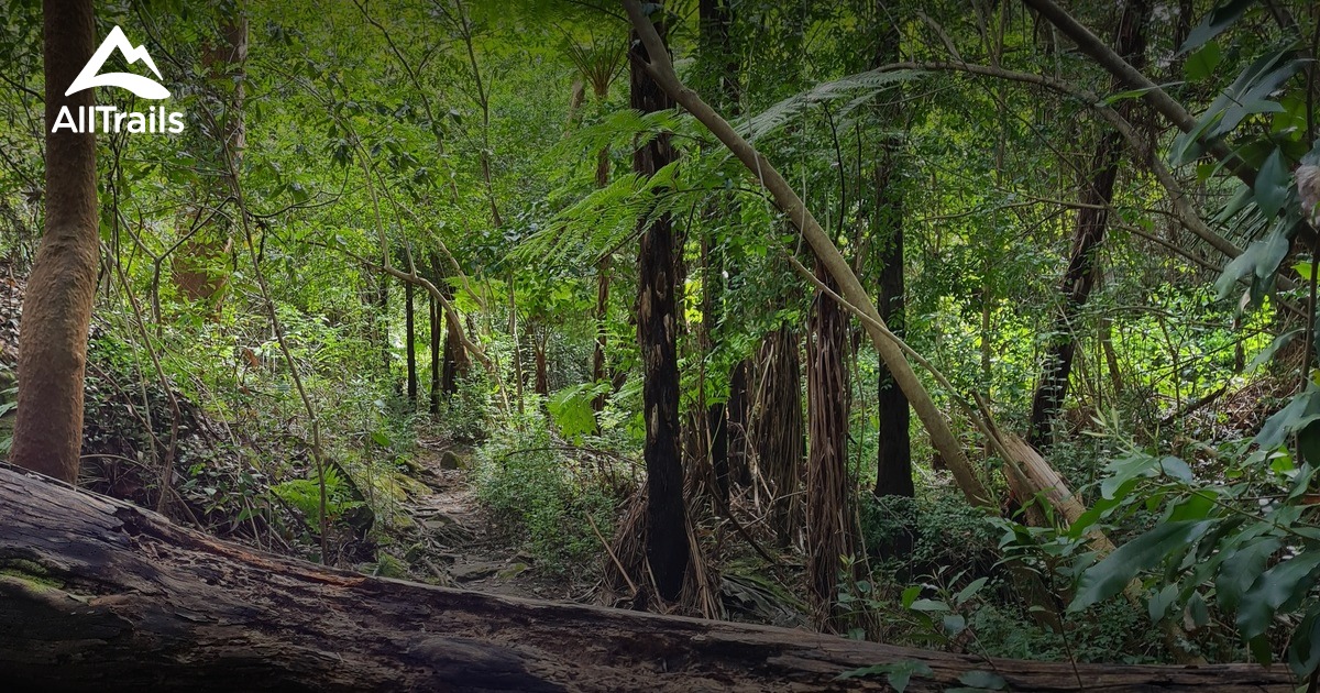 Best hikes and trails in Field of Mars Reserve | AllTrails