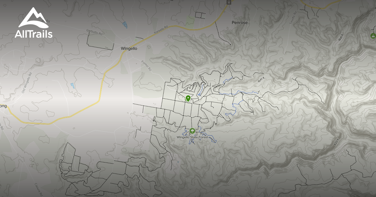 Best hikes and trails in Wingello State Forest | AllTrails