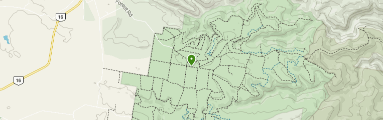 Best Hikes and Trails in Wingello State Forest | AllTrails