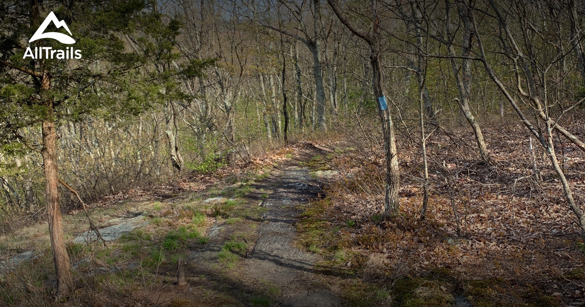 De beste stiene med utsikt i Burlington Land Trust | AllTrails