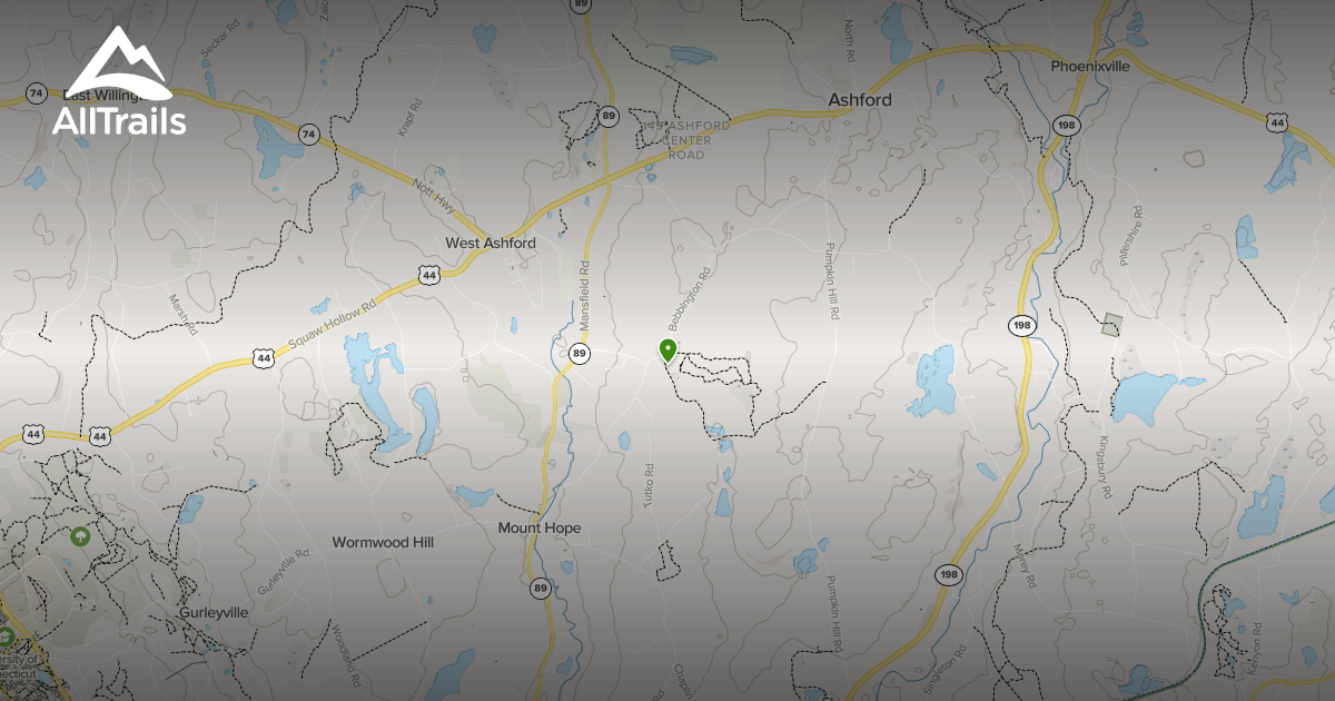 Die Besten Kinderfreundlichen Routen in Friedman Memorial Forest ...