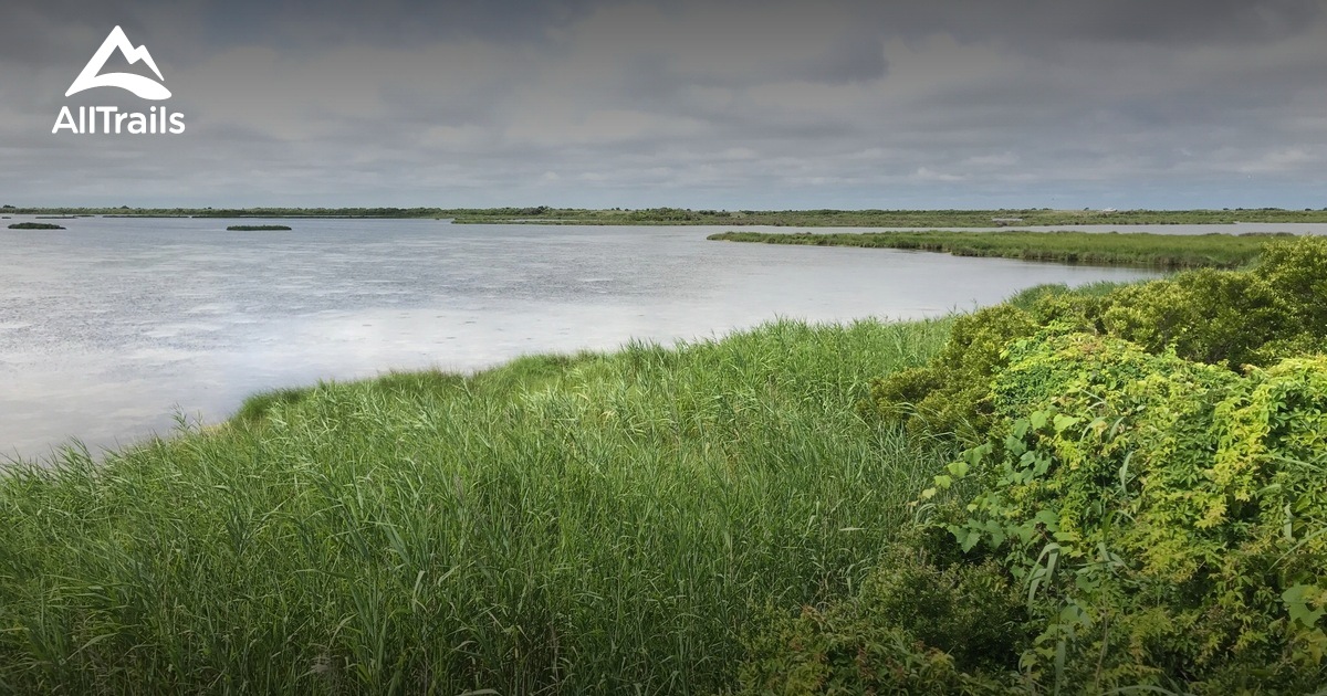 Best hikes and trails in Pea Island National Wildlife Refuge | AllTrails