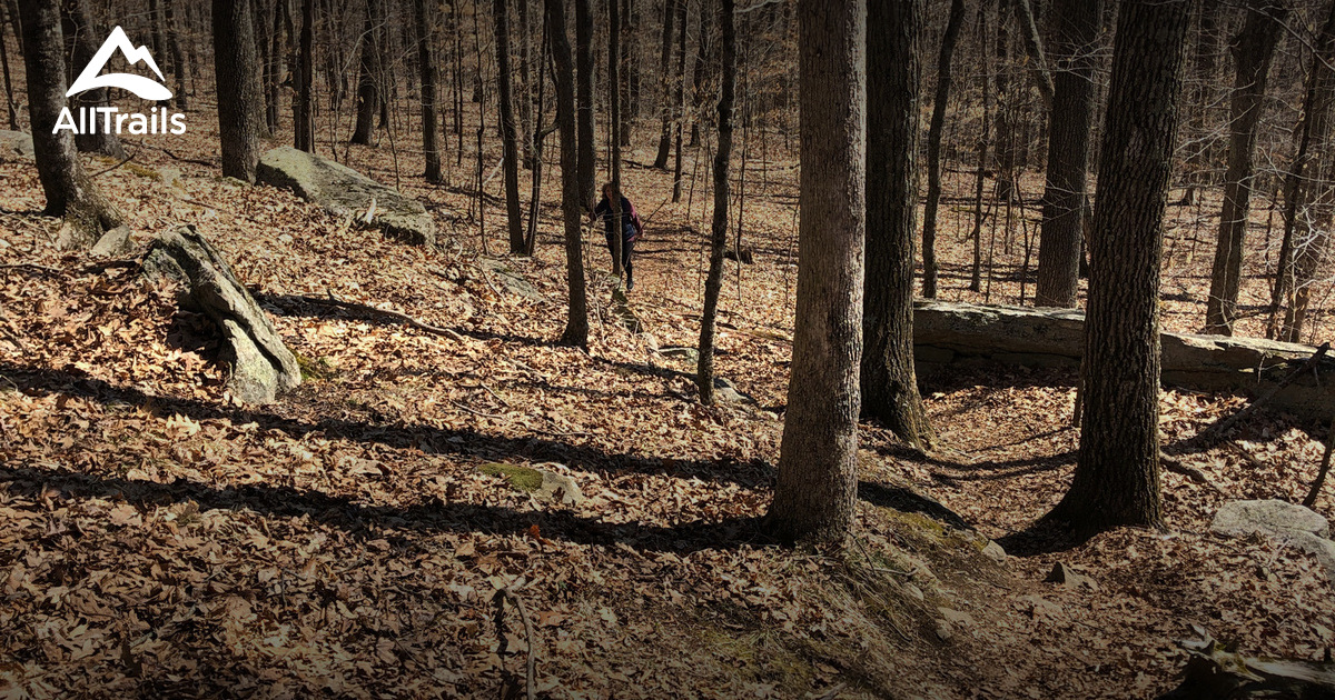 Best hikes and trails in Dunhamtown Forest | AllTrails