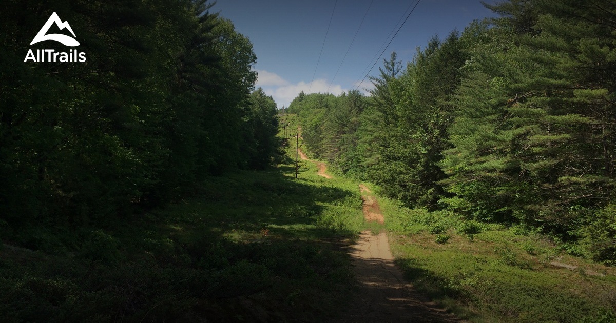 Best hikes and trails in Russell-Abbott State Forest | AllTrails