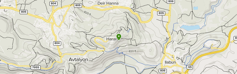 Best 10 Trails in Lotem Forest | AllTrails