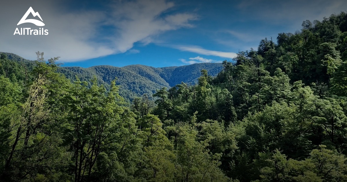Best hikes and trails in Glentui Bush Reserve | AllTrails