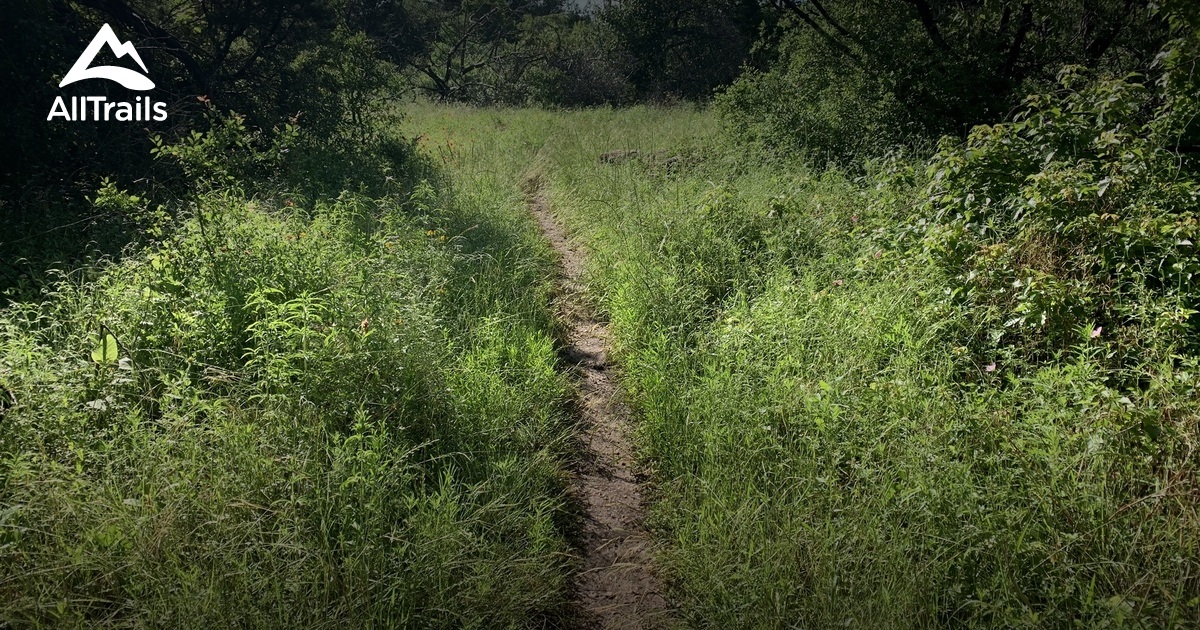 Best hikes and trails in Yett Creek Park | AllTrails