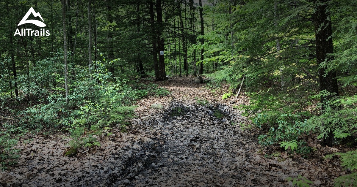 Greenberg Family Conservation Area : les meilleurs itinéraires pour l ...
