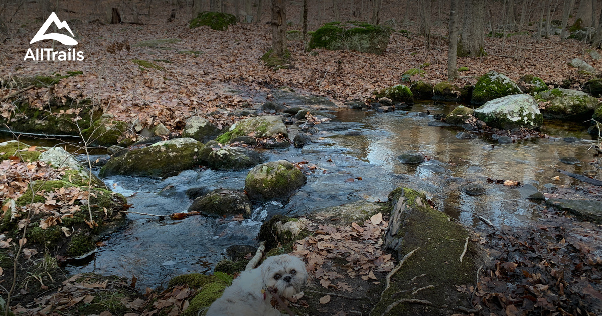 10 Best hikes and trails in Lay Allen Preserve | AllTrails