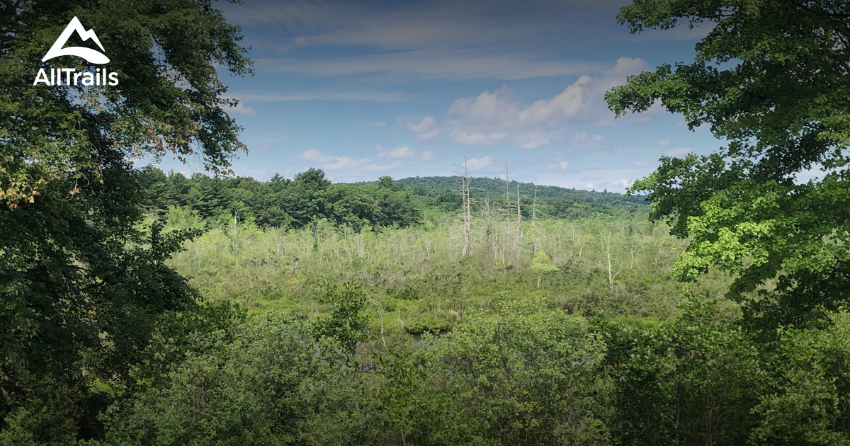 Best walking trails in Cold Harbor Brook F.C. | AllTrails