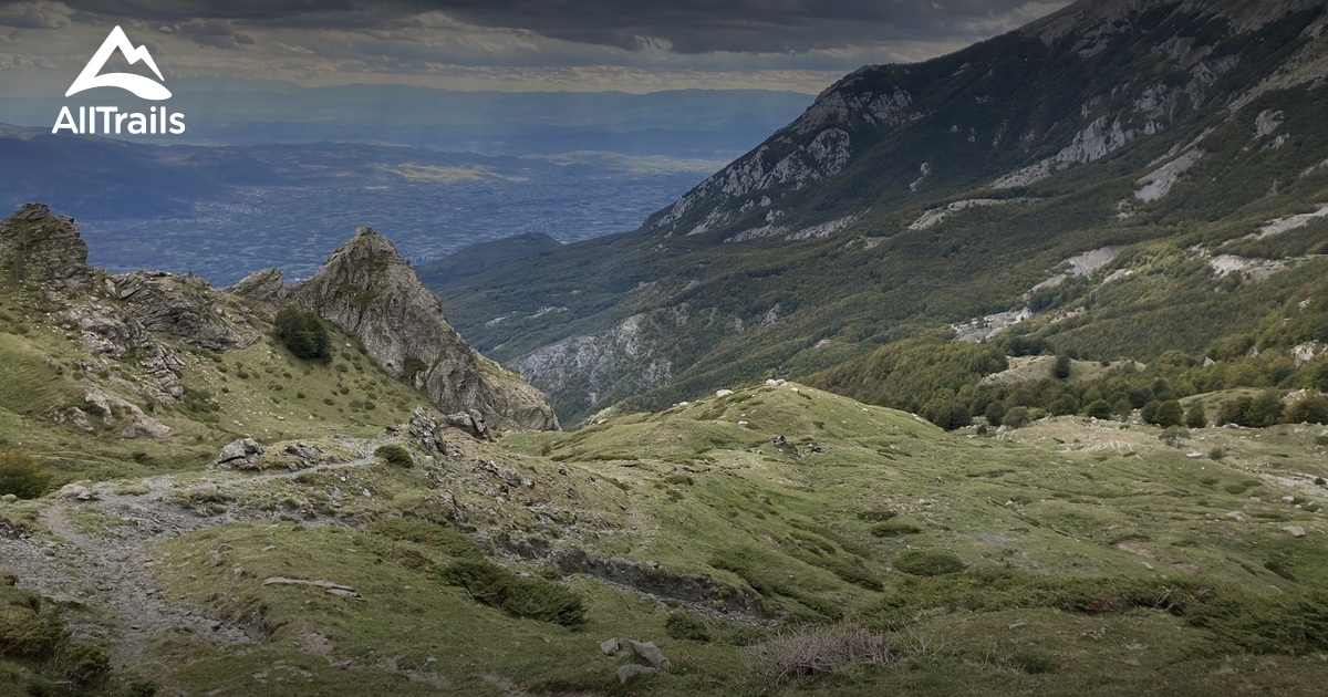 Best forest trails in Tzena-Pinovo Nature Reserve | AllTrails