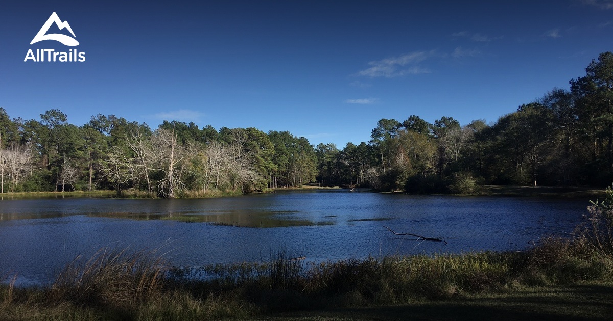 Best hikes and trails in Spring Trails and Peckinpaugh Preserve | AllTrails