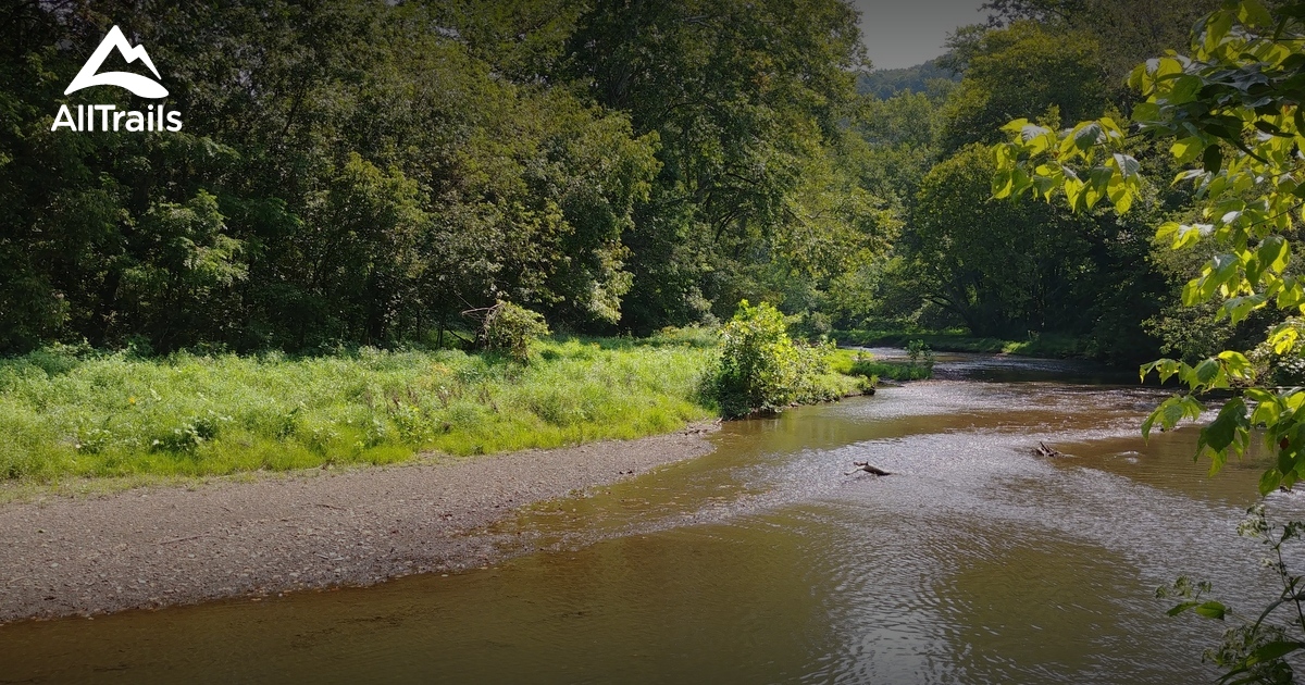 Best easy trails in Wildflower Reserve | AllTrails