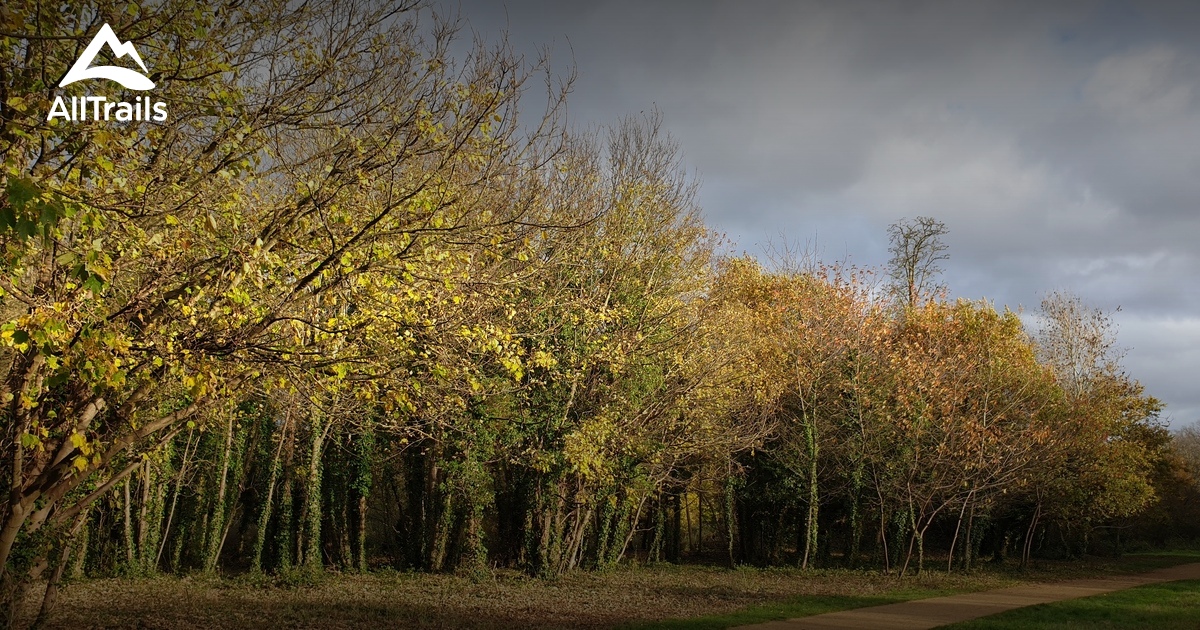 Best hikes and trails in Crane Park | AllTrails