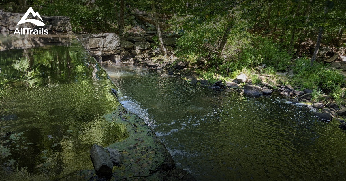 Best hikes and trails in Taylor Preserve | AllTrails