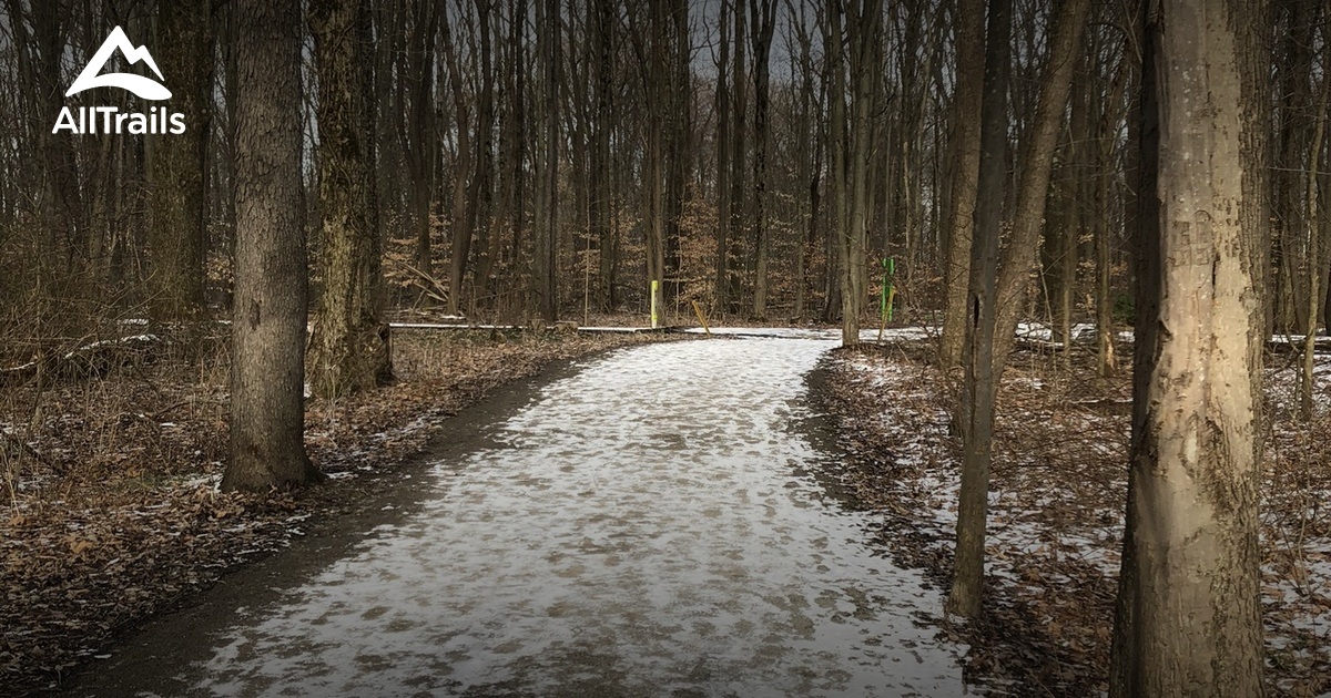 Best hikes and trails in Pearson Park | AllTrails