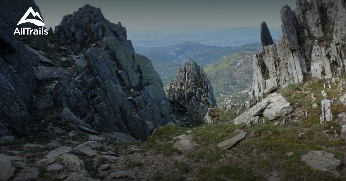 Best hikes and trails in Massane Forest Nature Reserve | AllTrails