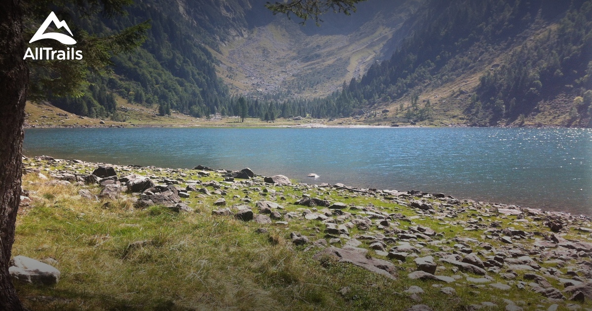 10 Best forest trails in Calanca Valley Park | AllTrails