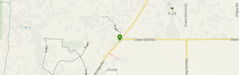 Best Hikes and Trails in Green Swamp Wilderness Preserve | AllTrails