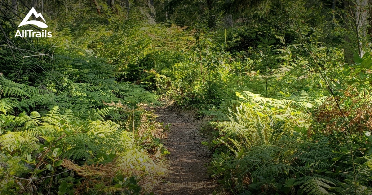 Best hikes and trails in Crescent Valley Watershed | AllTrails