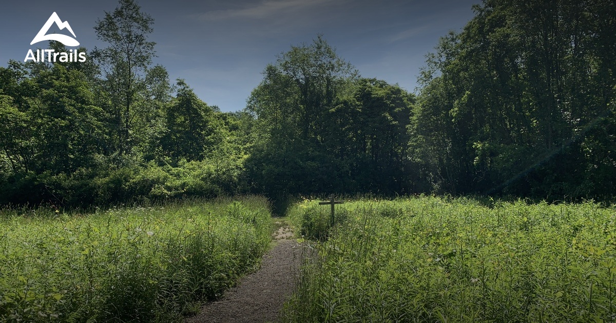 Best hikes and trails in Lillian Anderson Arboretum | AllTrails