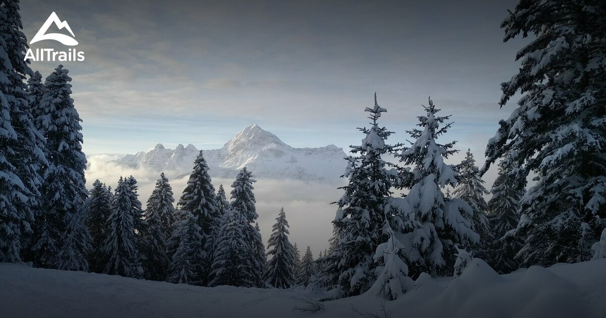 Najlepsze umiarkowane szlaki w: Réserve naturelle régionale de la ...