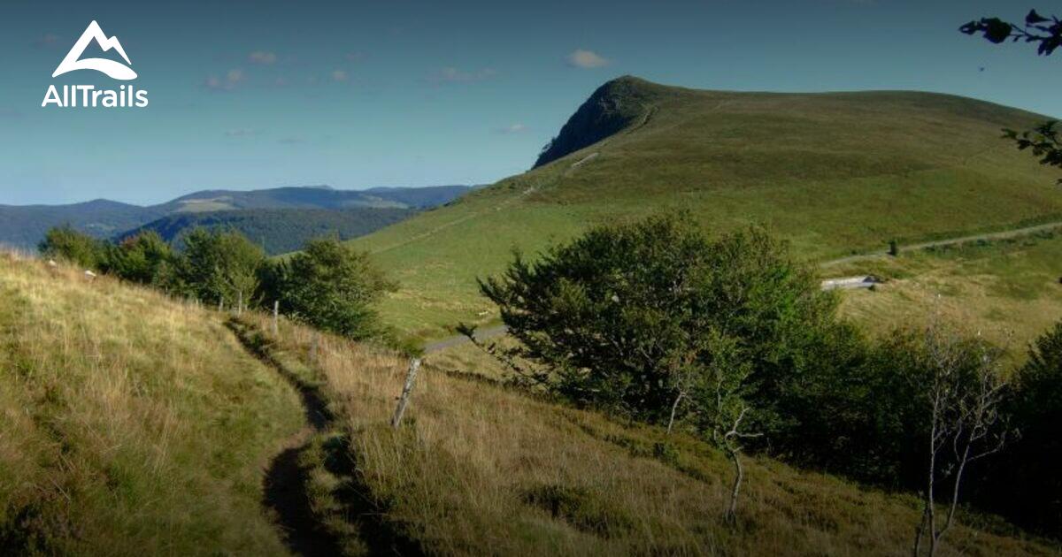 Réserve naturelle des Hautes Chaumes du Rothenbach : les meilleures ...