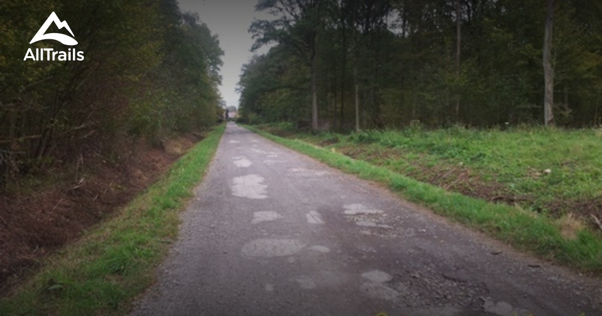 Best dogs on leash trails in Forêt de Nieppe | AllTrails