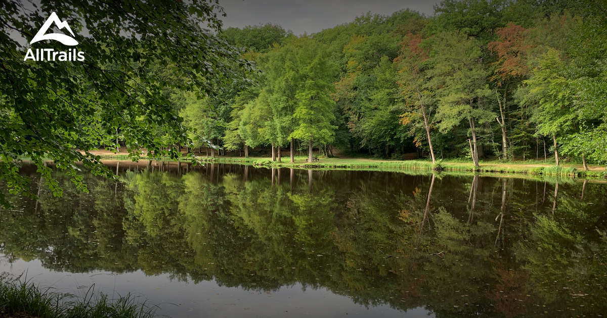 Best long trails in Forêt domaniale de Bellême | AllTrails