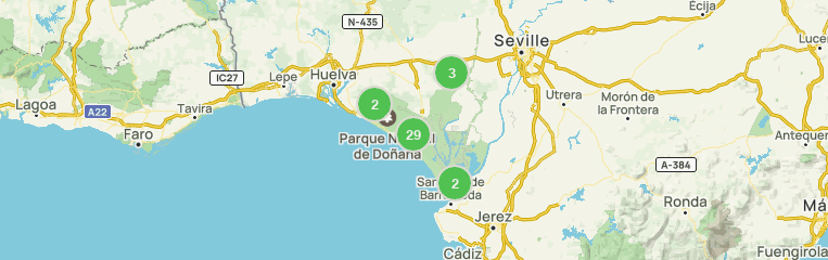 Los 10 mejores senderos y rutas en Parque Nacional de Doñana | AllTrails