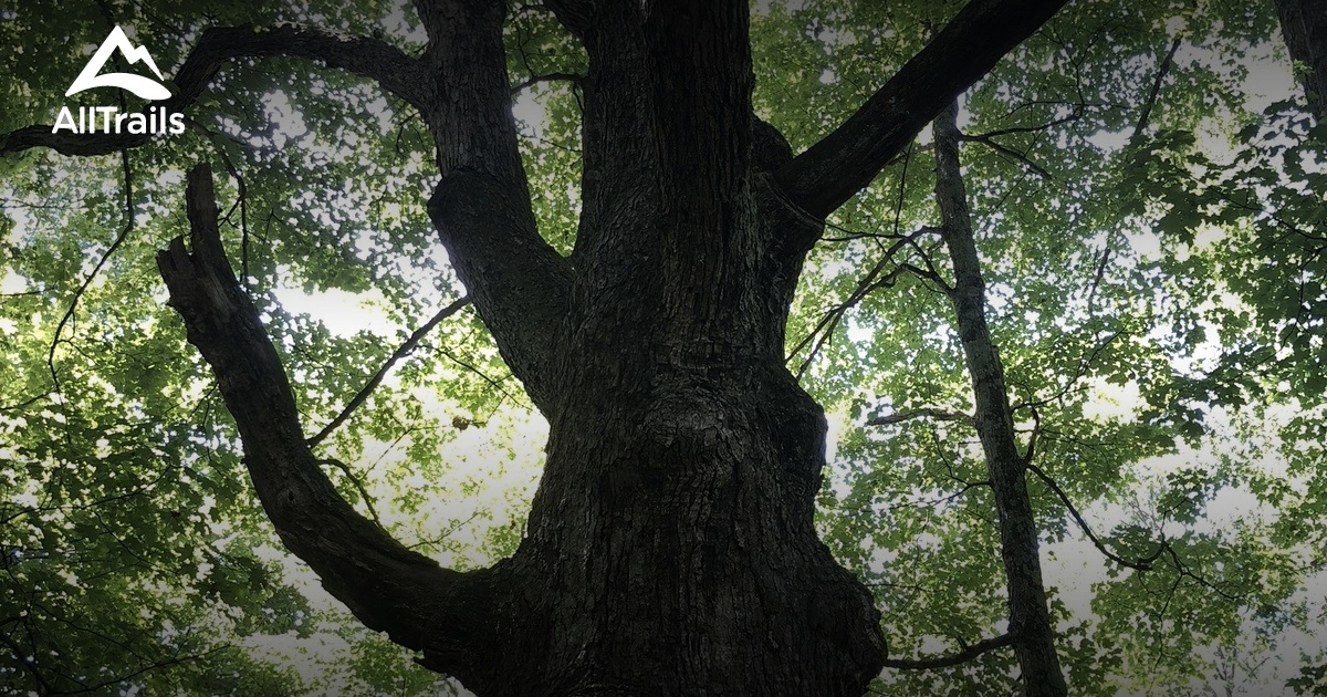 Best hikes and trails in Governor Bebb MetroPark | AllTrails