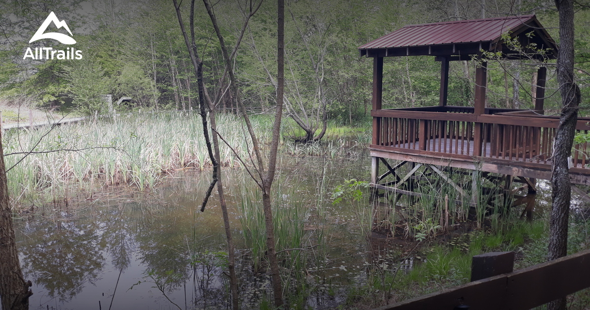 Best hikes and trails in Clay Hill Memorial Forest | AllTrails