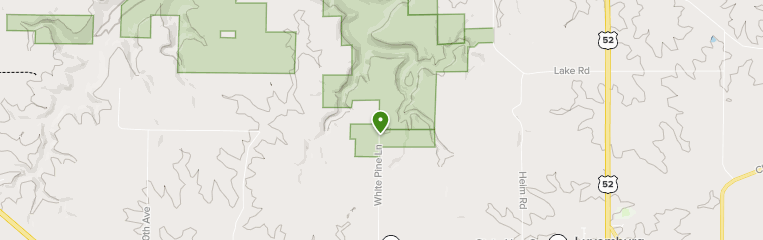 Best Hikes and Trails in White Pine Hollow State Forest | AllTrails