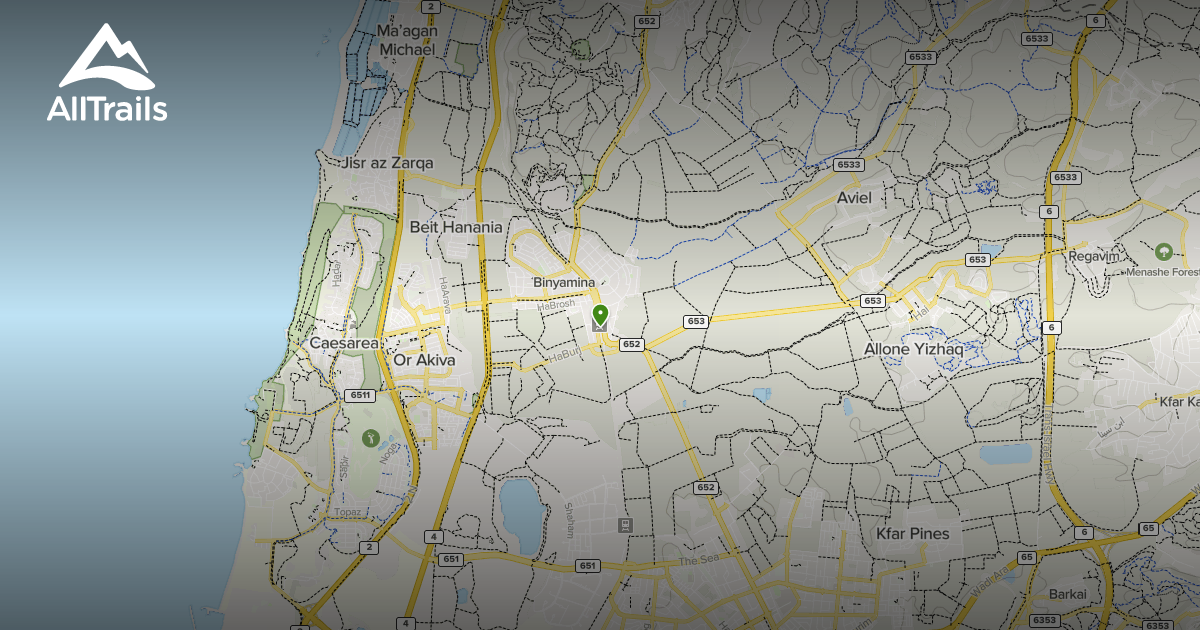 10 Best hikes and trails in Allona Nature Reserve | AllTrails