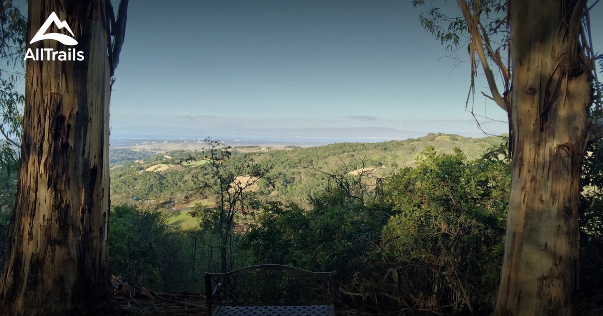 Best easy trails in Coal Mine Ridge Nature Preserve of Portola Valley ...