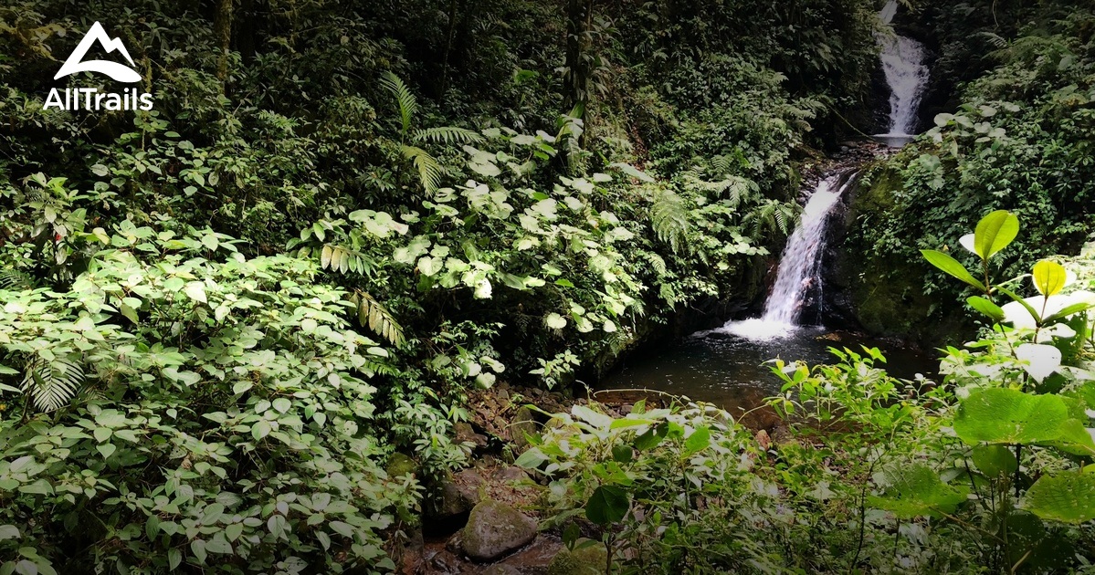 Best hikes and trails in Monteverde Cloud Forest Biological Reserve ...