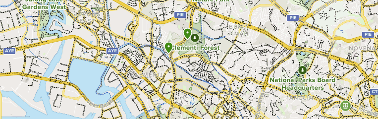 Best trails in Clementi Forest | AllTrails