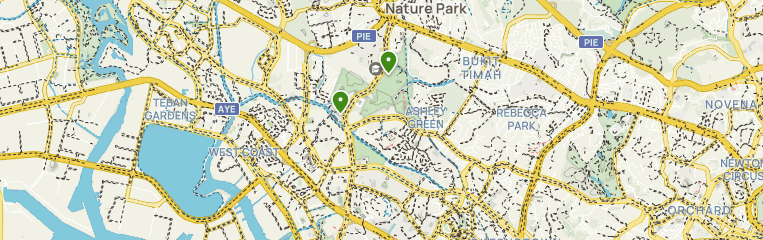 Best Hikes and Trails in Clementi Forest | AllTrails