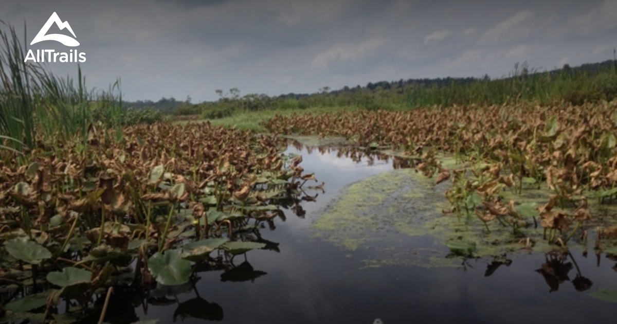 Best hikes and trails in State Game Land 213 | AllTrails