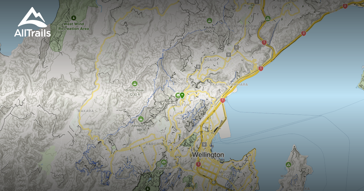 10 Best hikes and trails in Ōtari-Wilton's Bush Trust | AllTrails