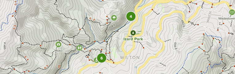 Best 10 Trails in Otari-Wilton's Bush Trust | AllTrails