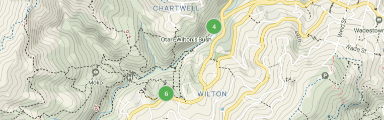 Best 10 Hikes and Trails in Otari-Wilton's Bush Trust | AllTrails