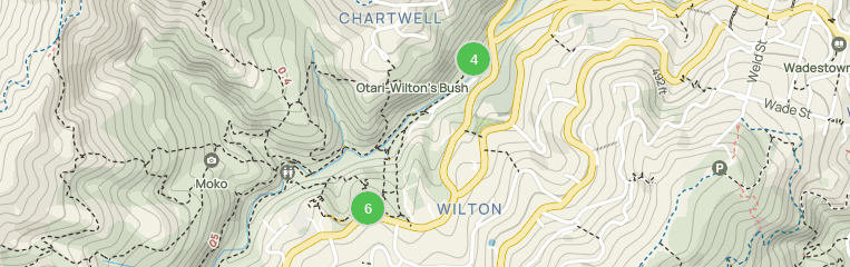 Best 10 Hikes and Trails in Otari-Wilton's Bush Trust | AllTrails
