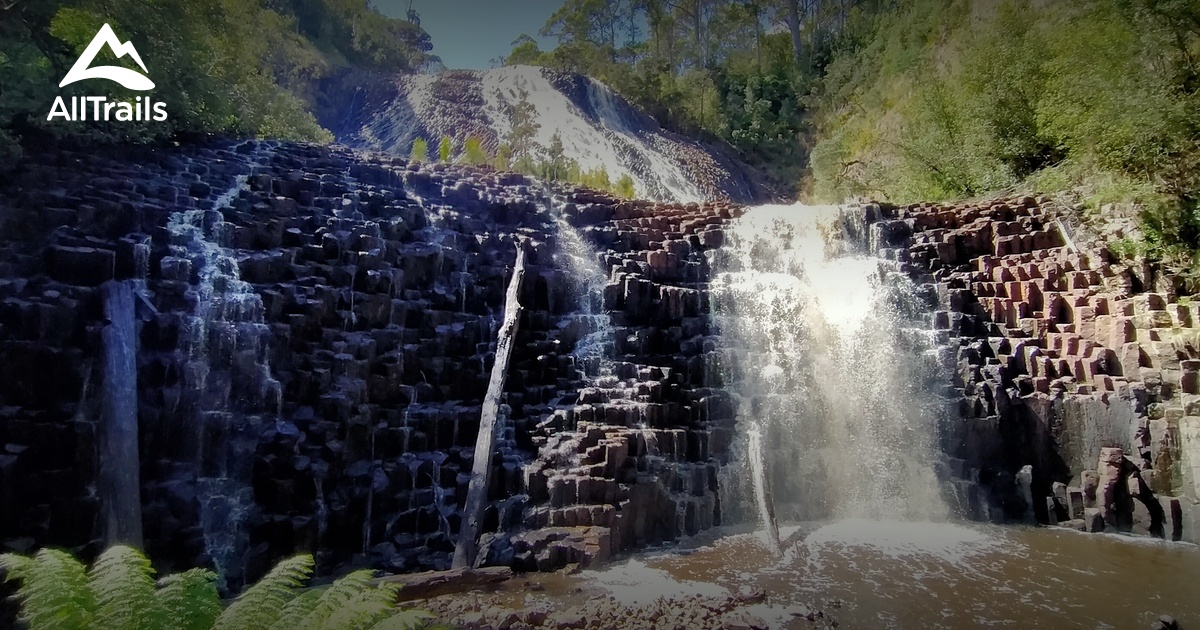 Best hikes and trails in Dip River Regional Reserve | AllTrails