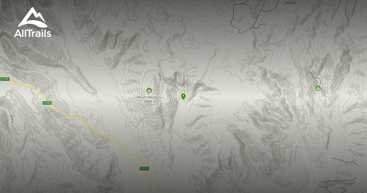 Best hikes and trails in Mathinna Falls Reserve | AllTrails